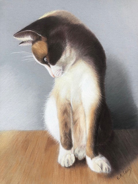 Pet Portraits | Elizabeth Lewis